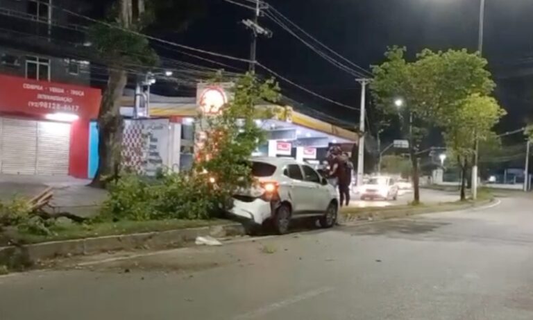 Motorista dorme ao volante e bate o carro em árvore, na Avenida André Araújo; veja vídeo